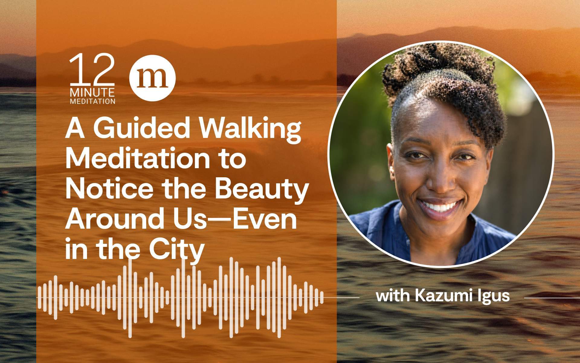 12 Minute Meditation: A Guided Walking Meditation to Notice the Beauty ...