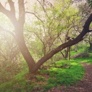 7 Reasons to Go Outside (According to Science)