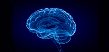 How the Brain Can Change Your Experience of Pain - Mindful