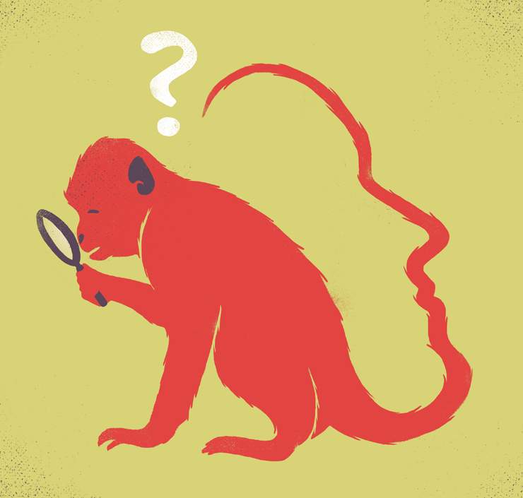 Why So Curious? - Mindful