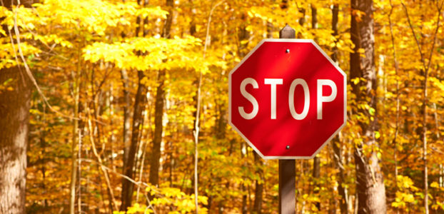 S.T.O.P. Stress in Its Tracks - Mindful