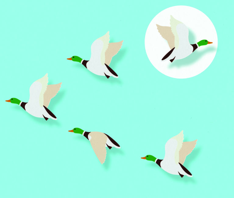 What it Means to Have Clear Vision - Mindful