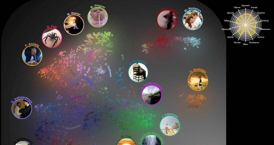 How Many Different Human Emotions Are There? - Mindful