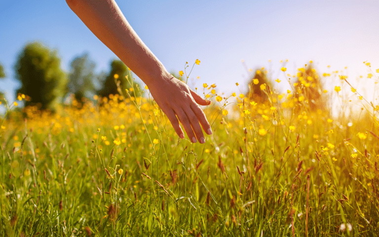 A Guided Practice to Invite Nature Into Your Life - Mindful