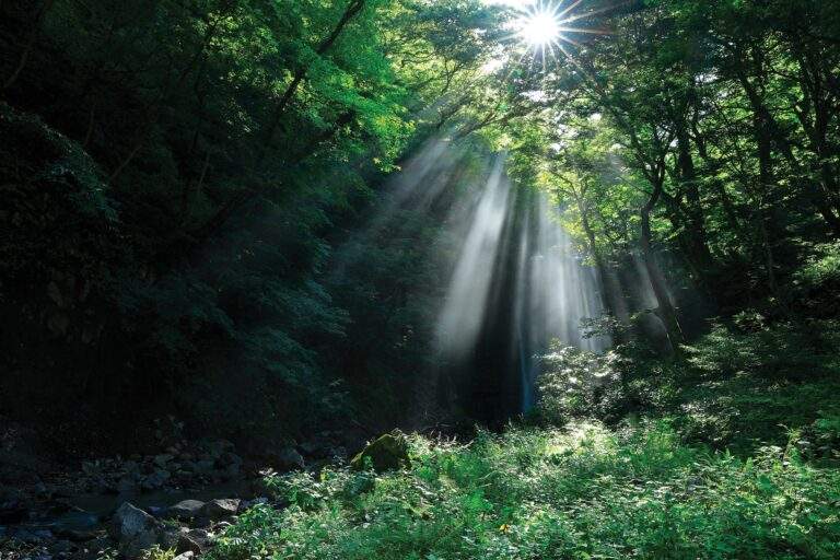 How to Take An Awe Walk - Mindful