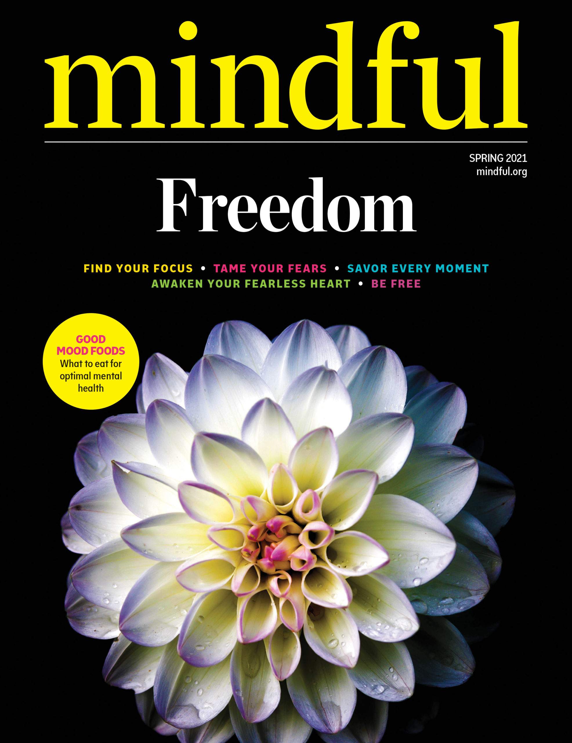 Connecting Your Mindfulness Practice to Mine - Mindful