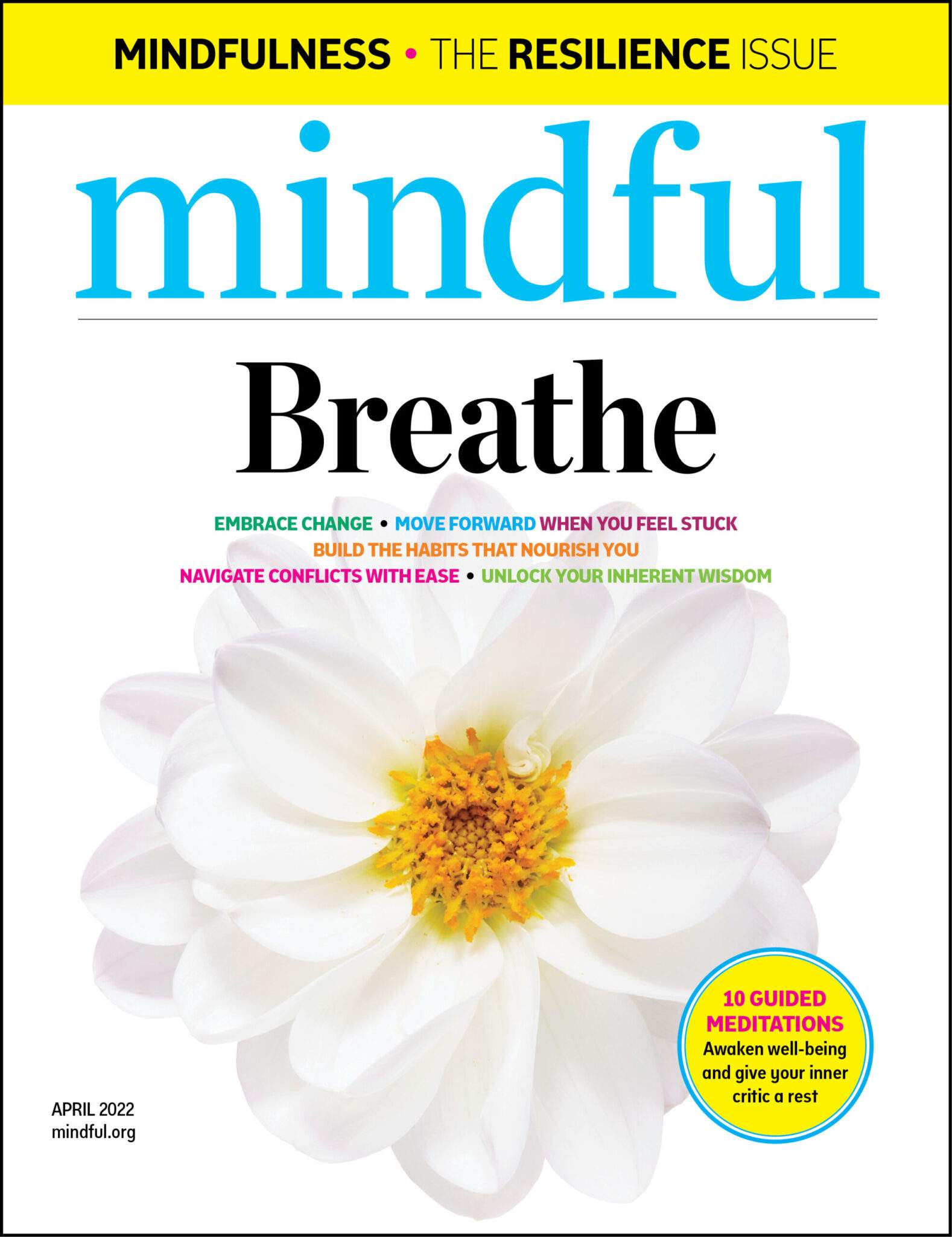 Discover the Fall 2020 Issue of Mindful Magazine
