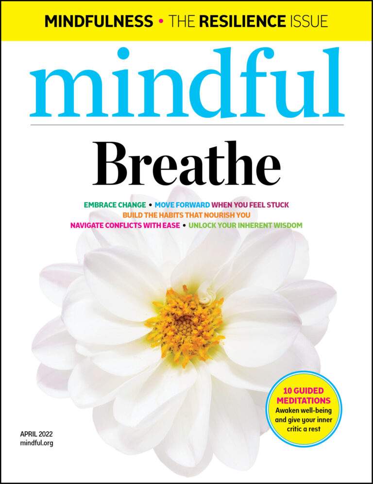 Discover the Fall 2020 Issue of Mindful Magazine