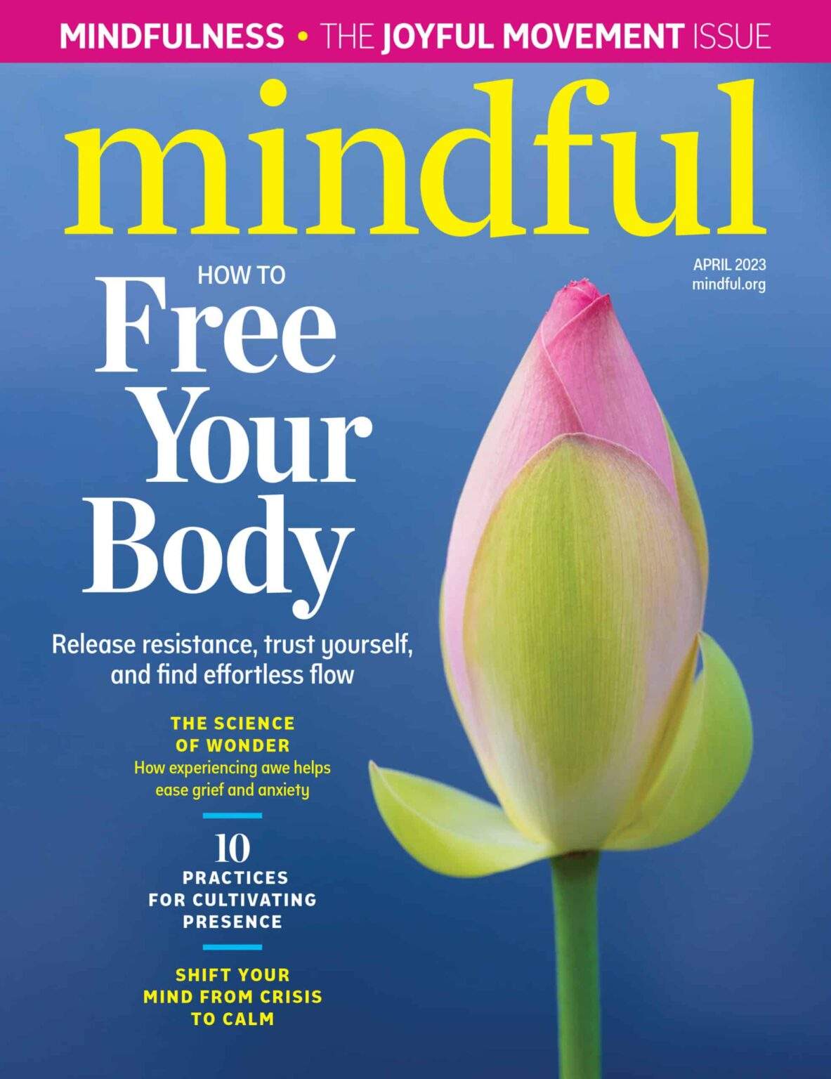 Discover the Fall 2020 Issue of Mindful Magazine