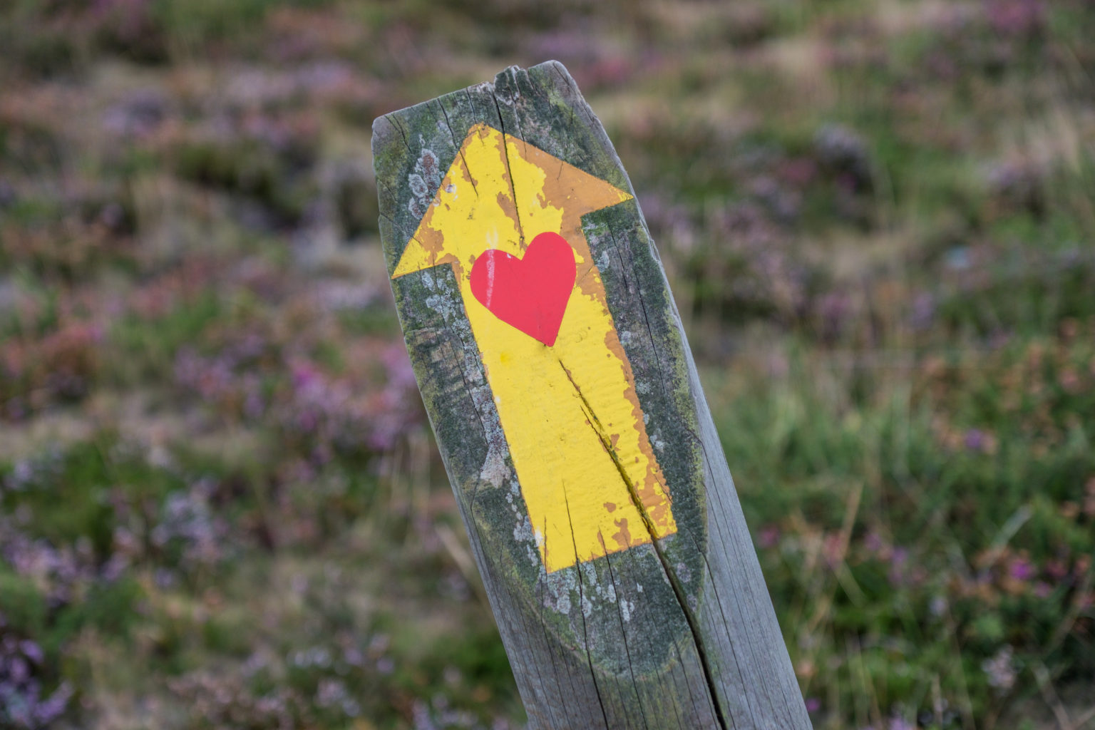 Awaken Your Intention With A 4-Step Practice