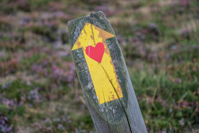 Awaken Your Intention With A 4-Step Practice