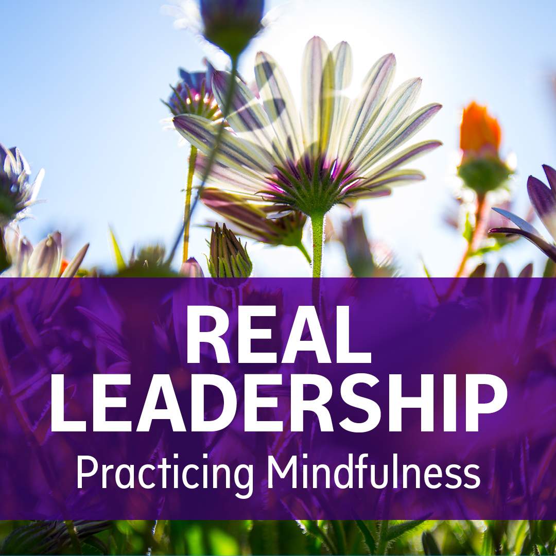 Mindfulness & Meditation Online Courses from Mindful.org