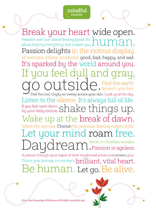 Passion Rules: Two Practices for Discovering Your Life's Passion - Mindful