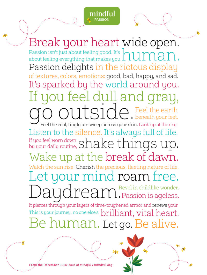 Passion Rules: Two Practices for Discovering Your Life's Passion - Mindful