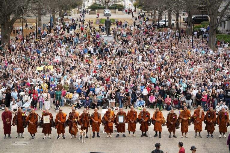 The Walk for Peace: An Invitation to Reimagine Where Peace Begins - Mindful
