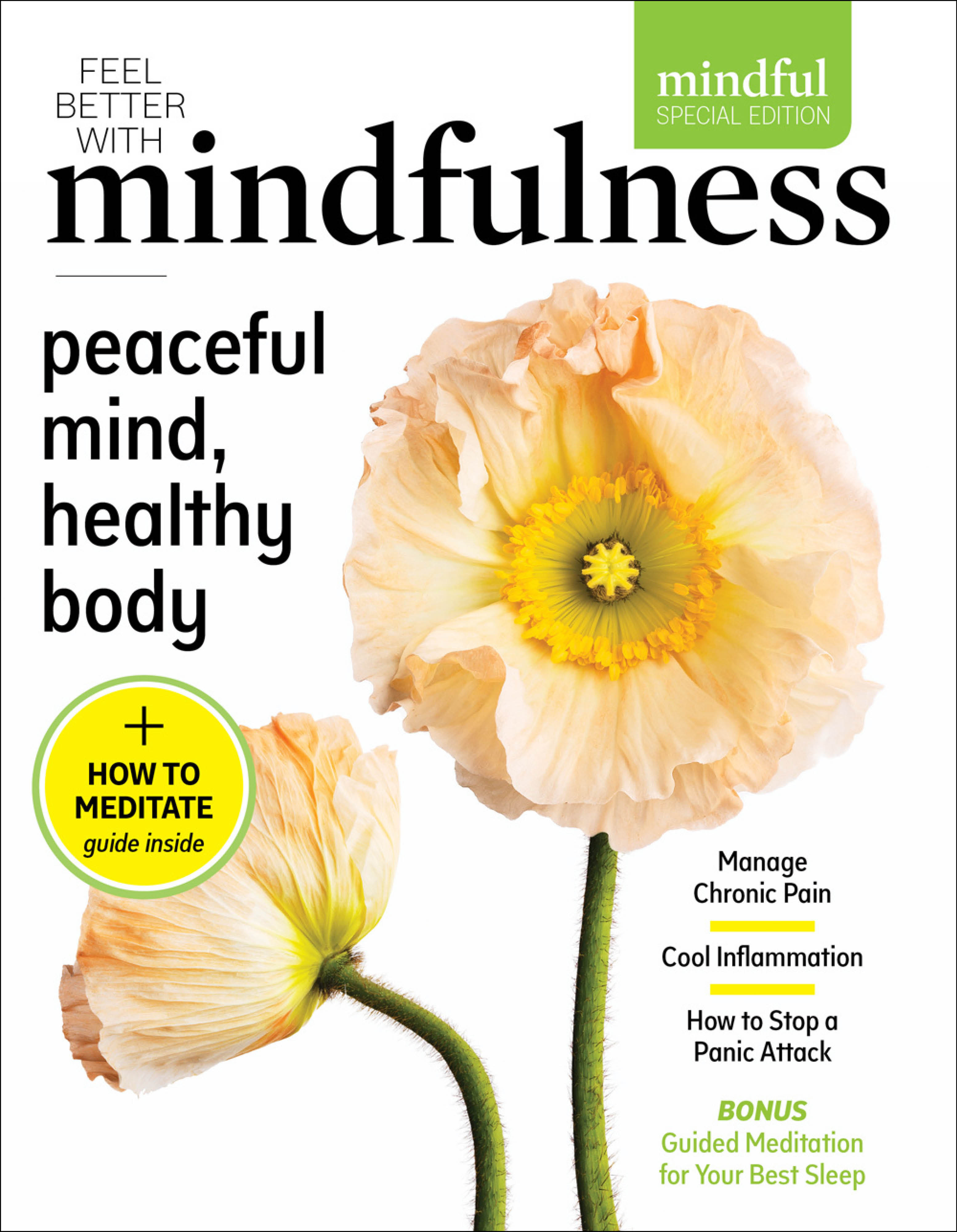 Peaceful Mind Meditation
