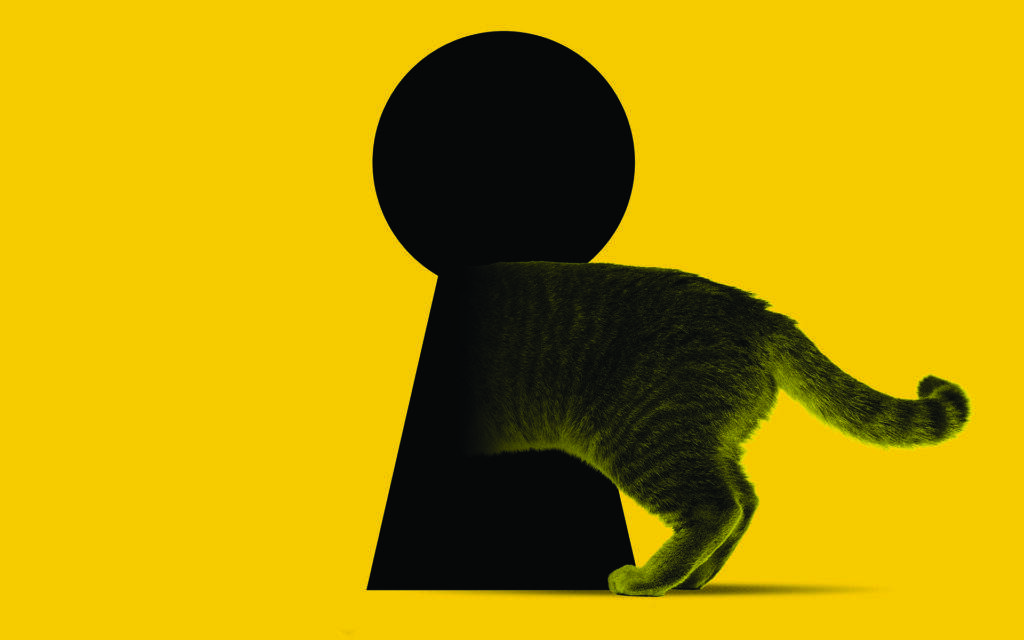 A 12-Minute Loving-Kindness Practice to Cultivate Curiosity