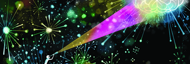 The Magnificent, Mysterious, Wild, Connected and Interconnected Brain ...