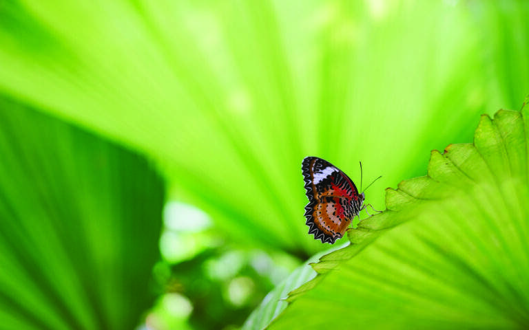 Take a 3-Day Mindfulness Journey: 6 Practices for Spring - Mindful