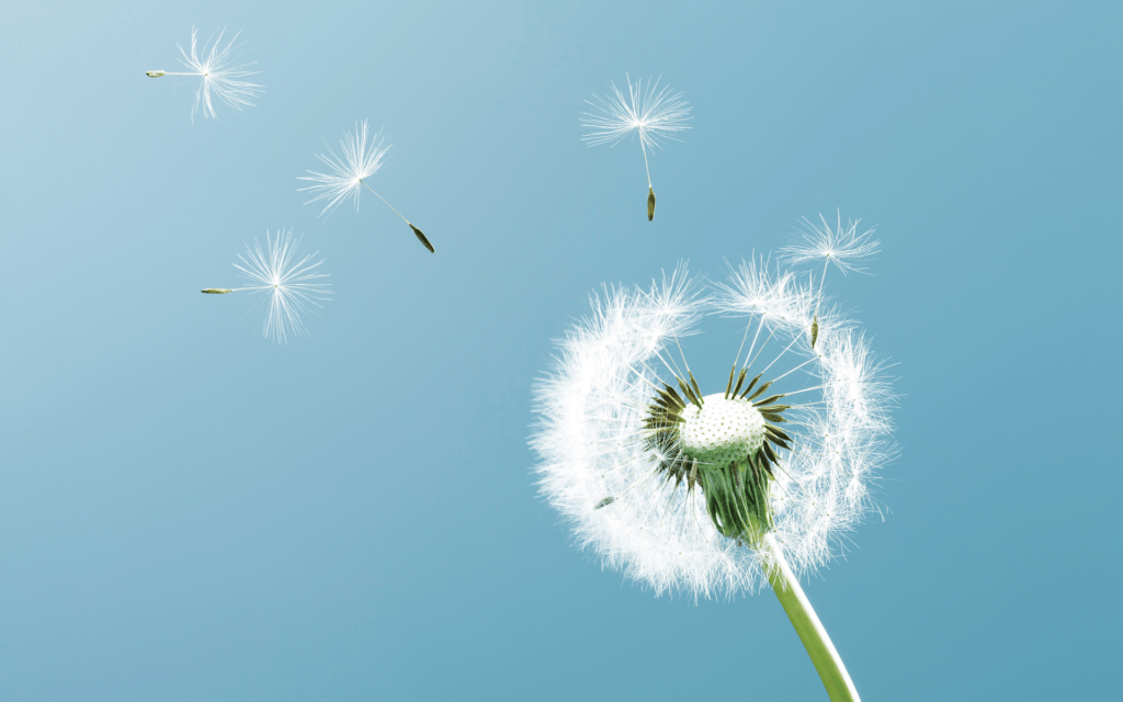A 12-Minute Meditation to Welcome Everything - Mindful