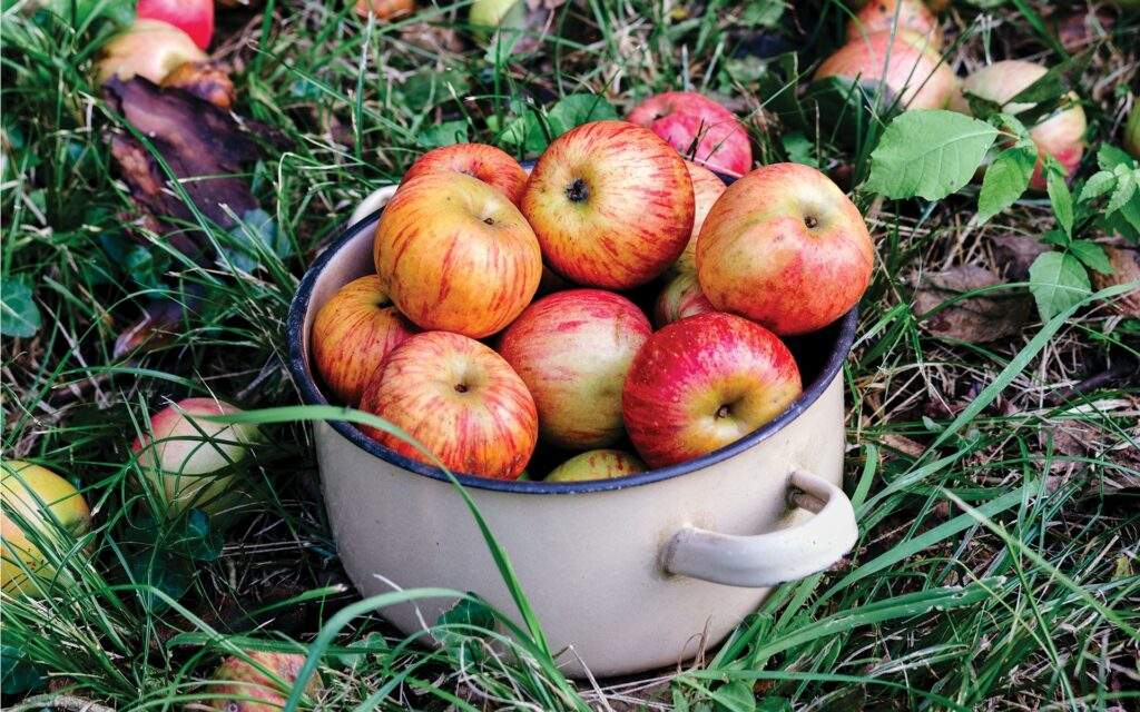 Mindful Magazine: October 2017 Issue - Mindful.org